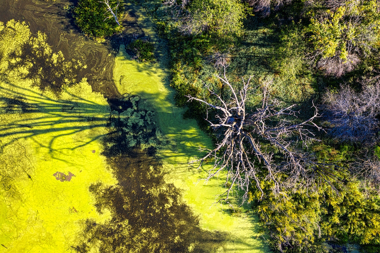 Manta Biofuel's Raise Is Still a Good Opportunity for Investors ...