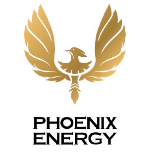 Phoenix Capital Group on Dalmore Group 2023 - Kingscrowd