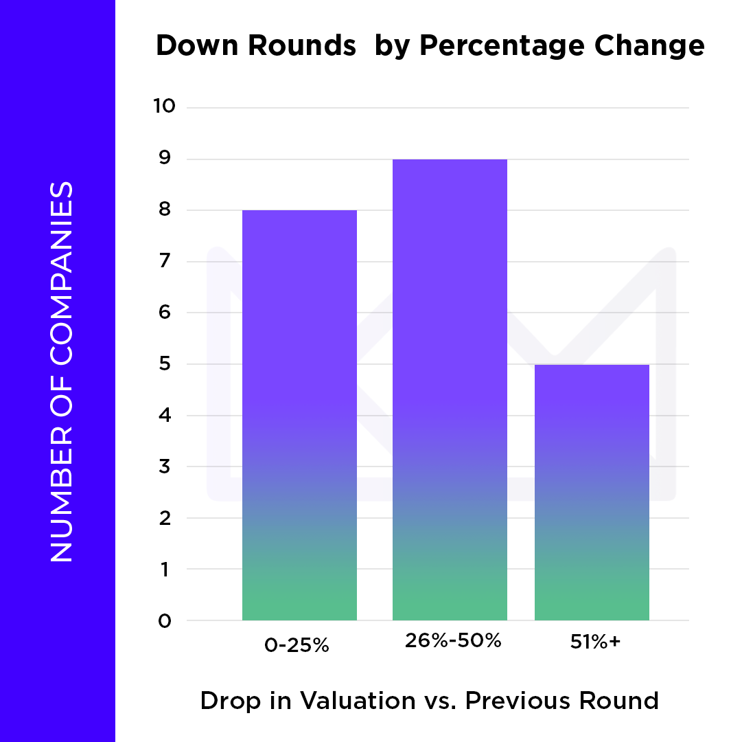 When Startups Reprice: A Look at 2024’s Down Rounds - Kingscrowd